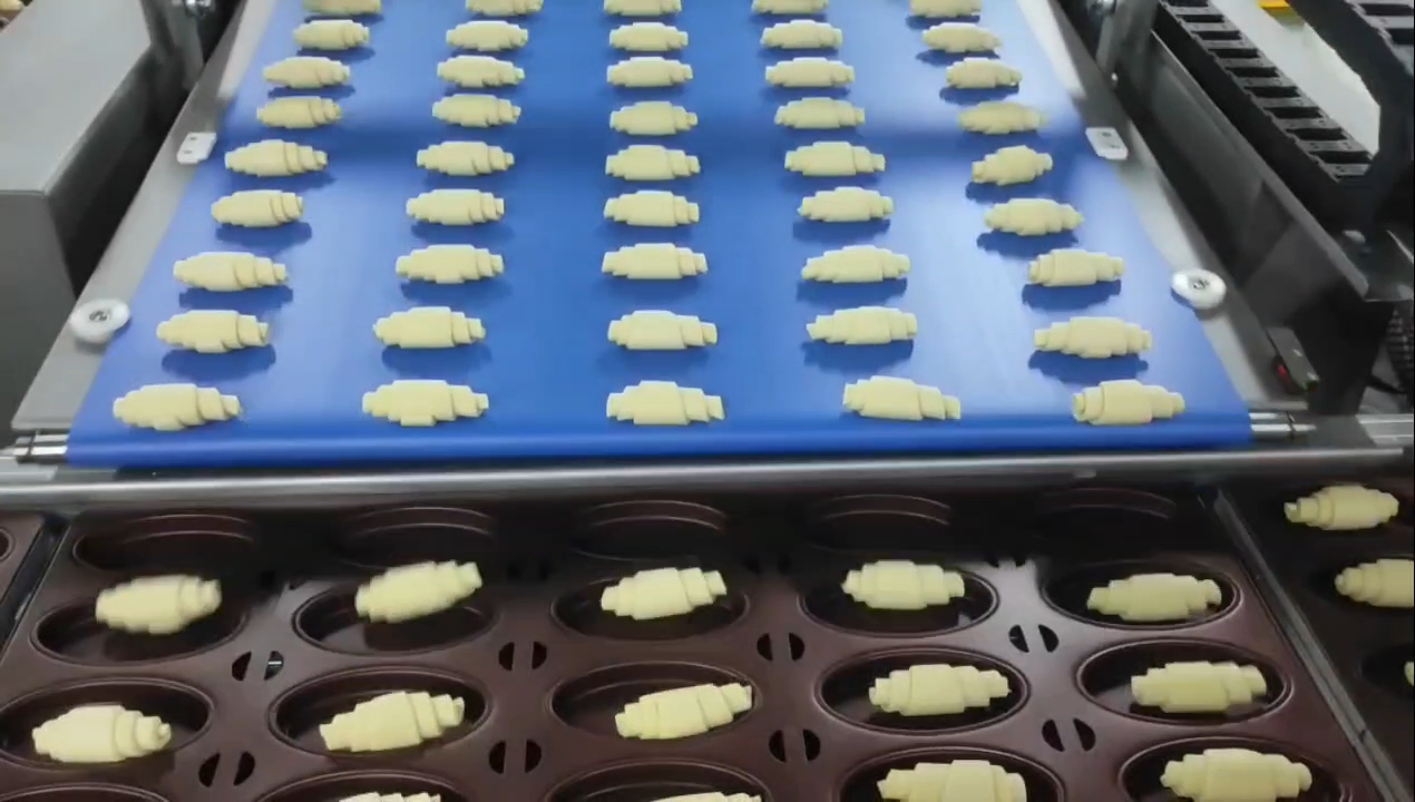 Canadian Client Inspects Automatic Trays Arrangement Machine at Andrew ...