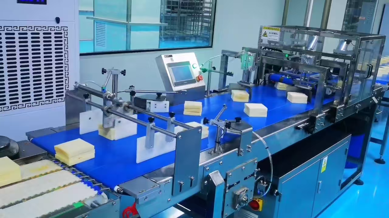 Andrew Mafu Machinery Unveils Advanced Automated Sandwich Production Line